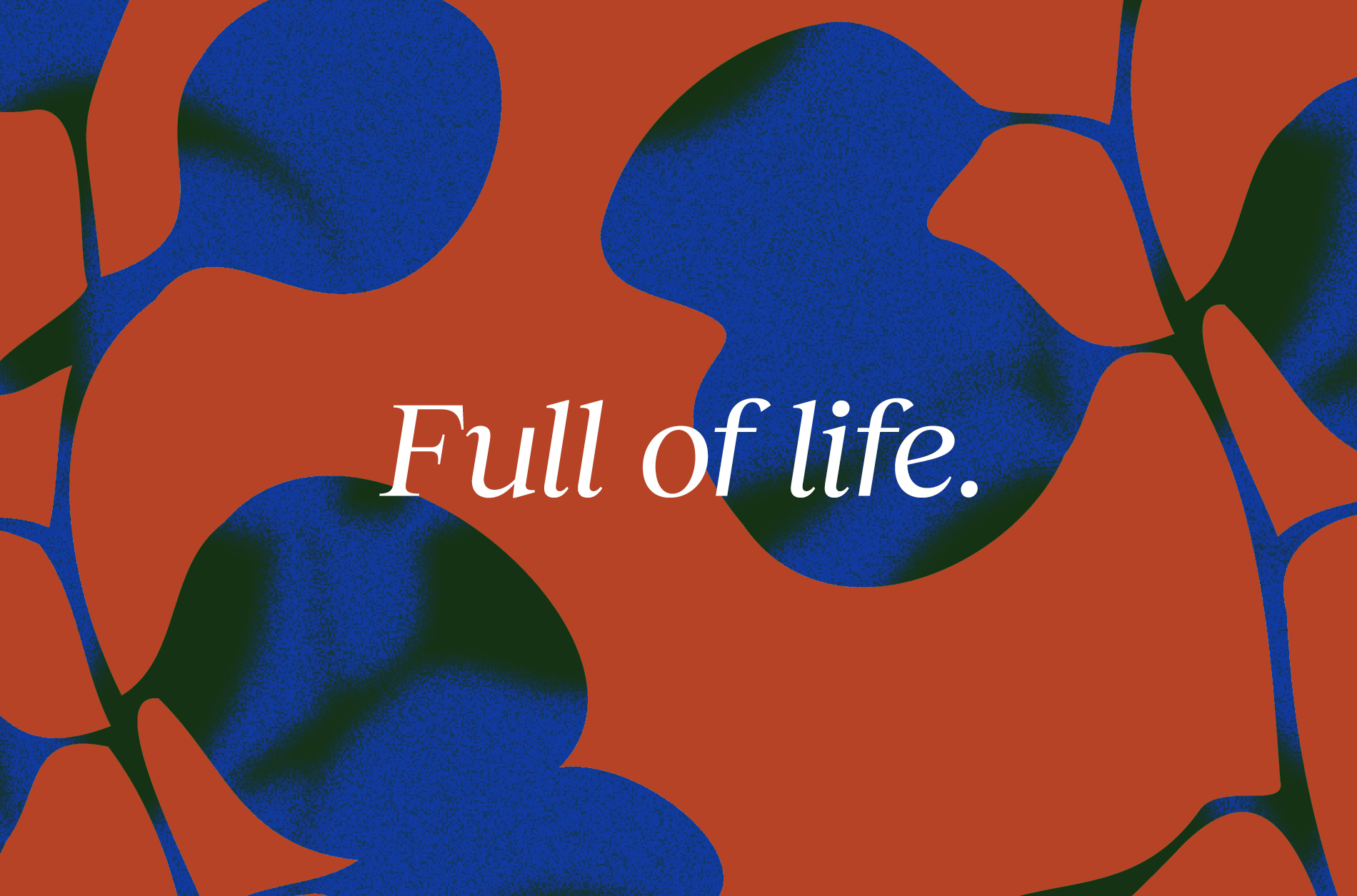 Savi Communications | Gallery